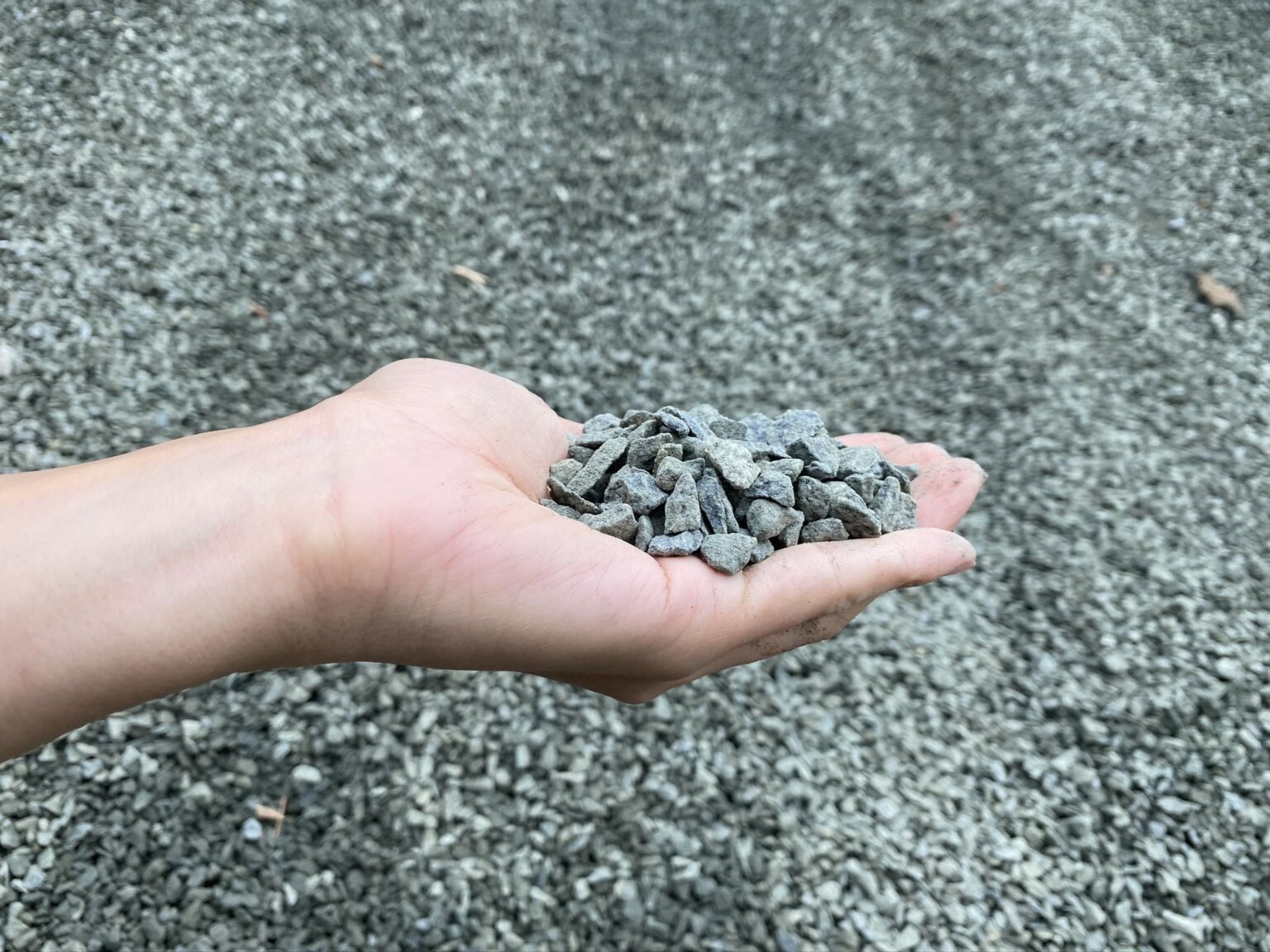  8 Stone Champion Mulch Outdoor Supply